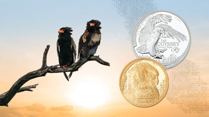 South African Mint - The South African Mint Company